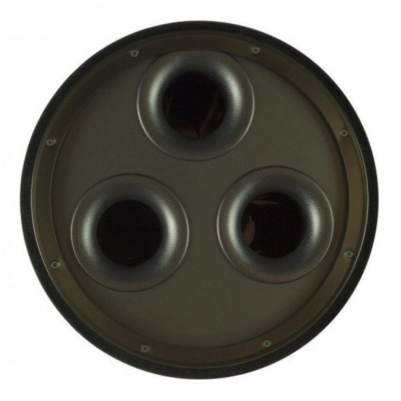 SVS PC12-Plus - Caisson de Basse - Noir